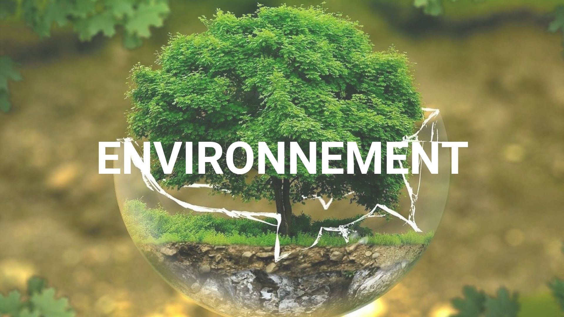 Environnement - Veille évolutions des métiers - Atheme Formation